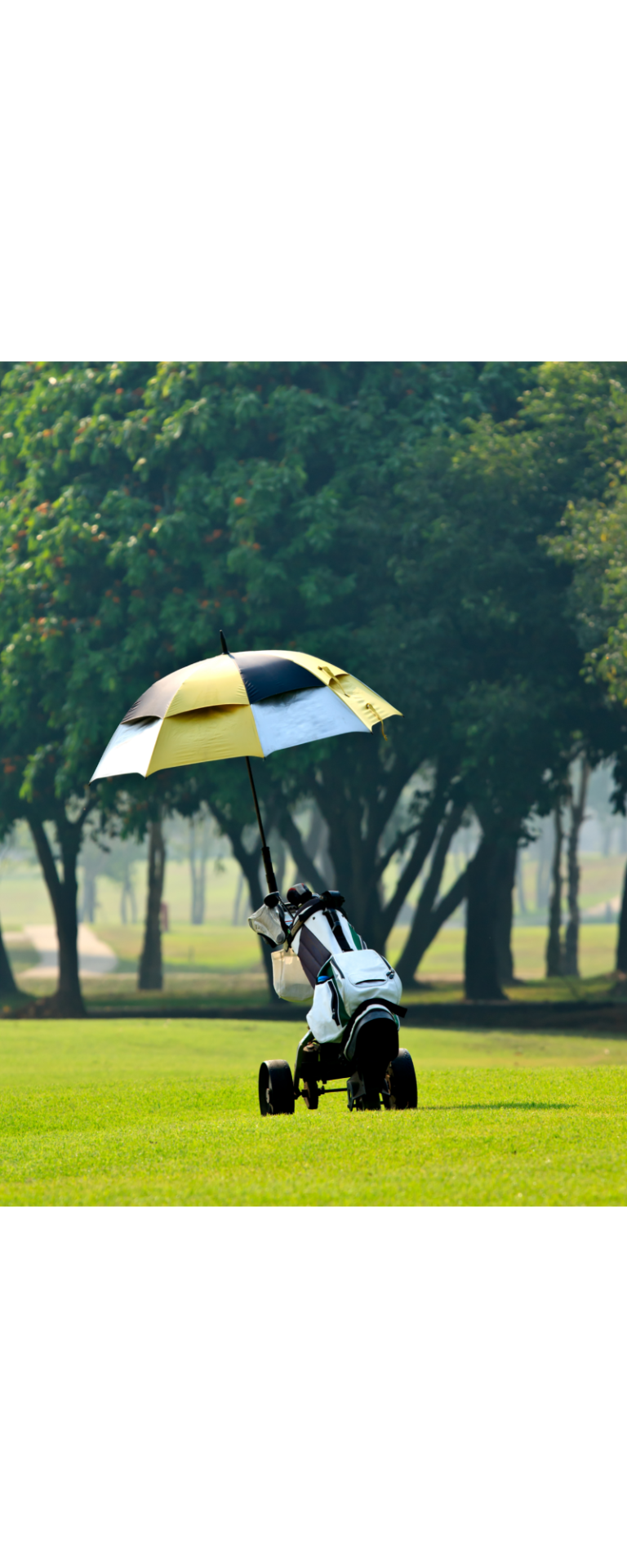 The Trolleyman - Golf Trolley and Buggy Repairs